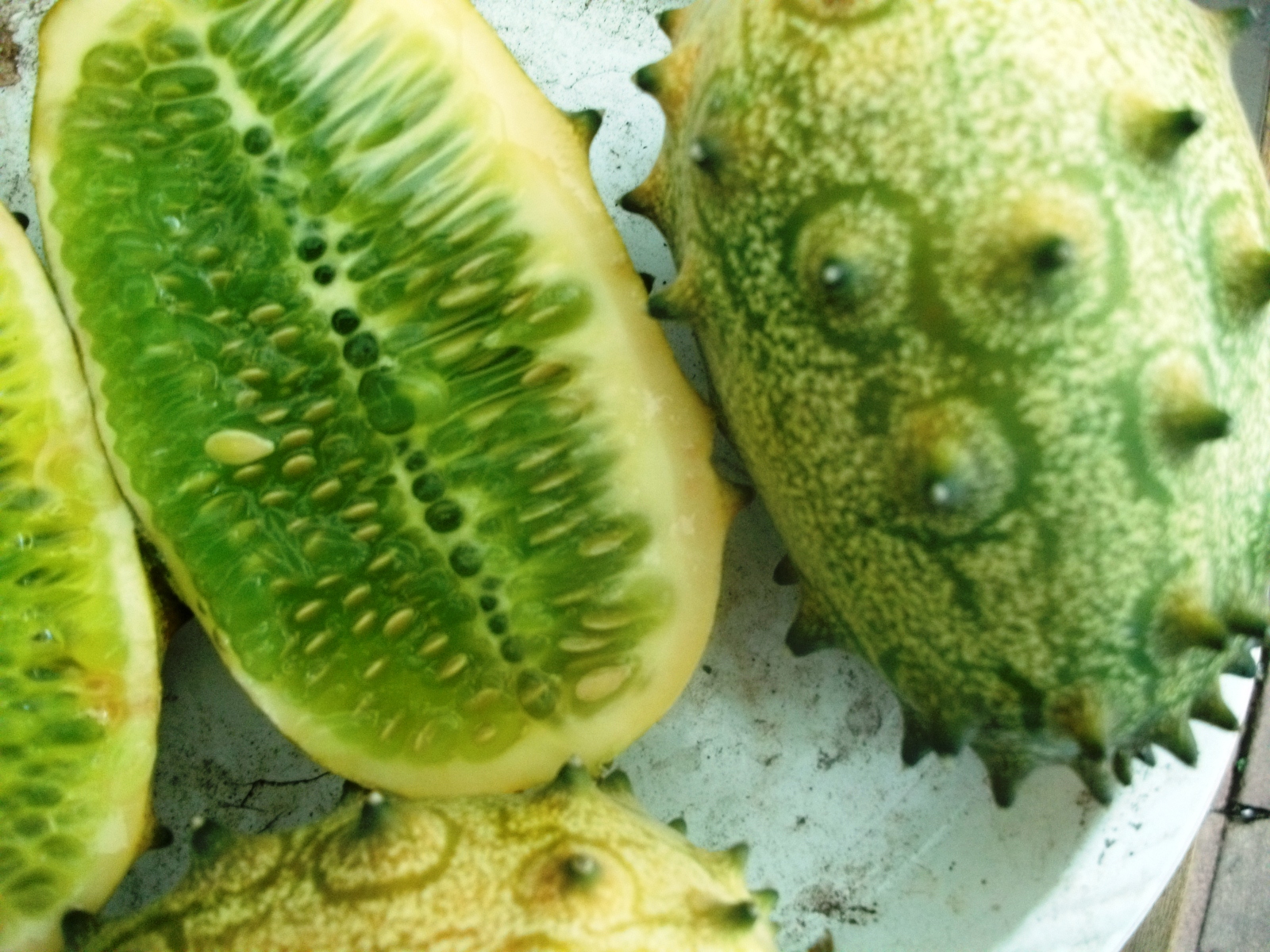 AFRICAN HORNED KIWANO CUCUMBER SEEDS 4 SALE HERE ONLINE AUSTRALIA $4 ...