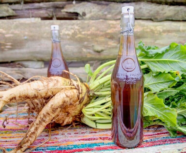 MANGEL WURZEL ROOT VEGETABLE SEEDS 4 SALE HERE ONLINE AUSTRALIA $4 ...