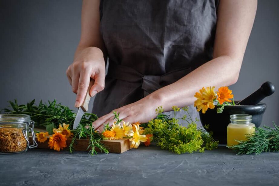 The Essential Guide to Making an Herbal Salve, Balm,Lotion,Tincture ...