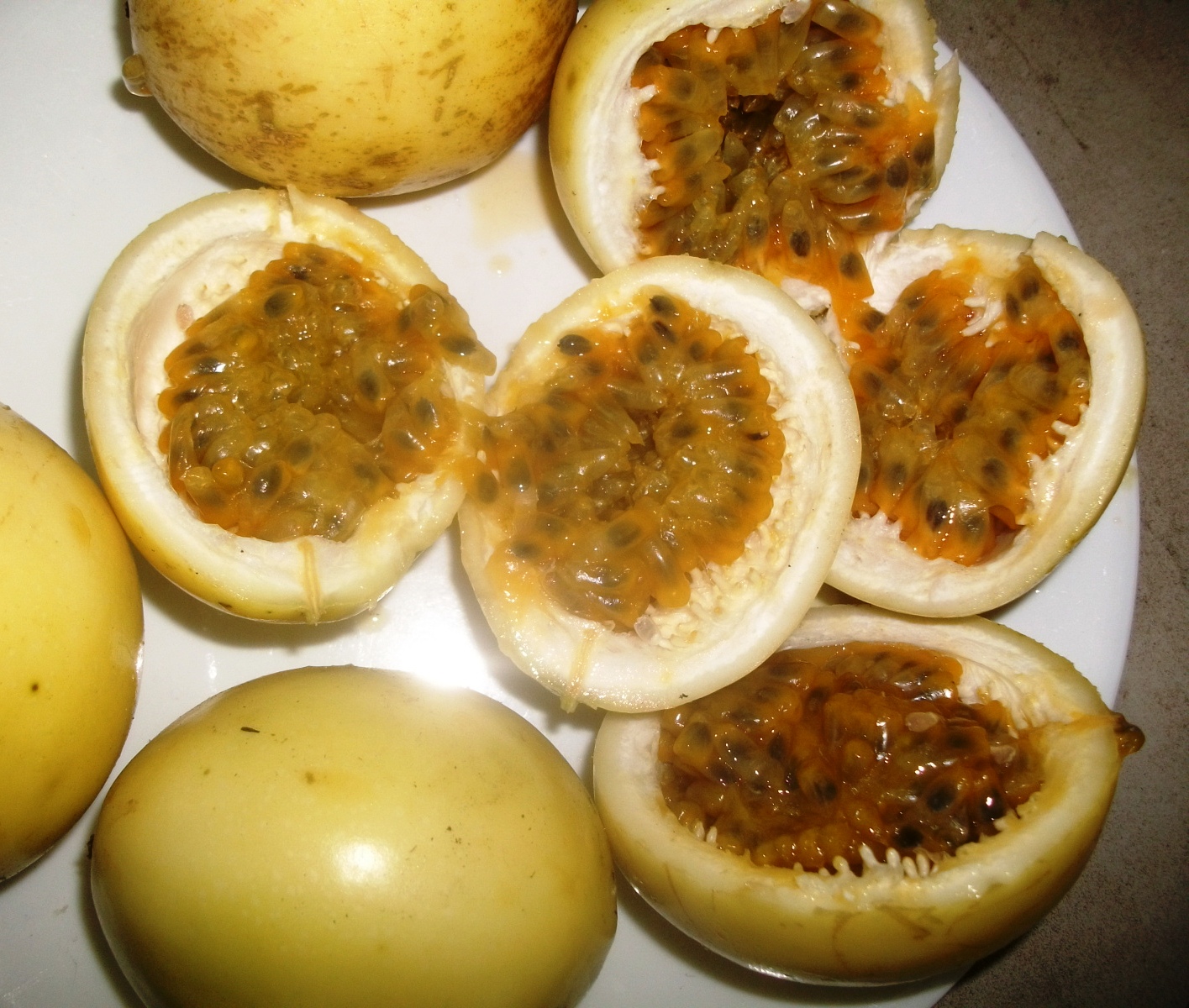 Hawaiian Gold Passionfruit Vine Plants For Sale Here Qld Oz 15 Sunblest Products